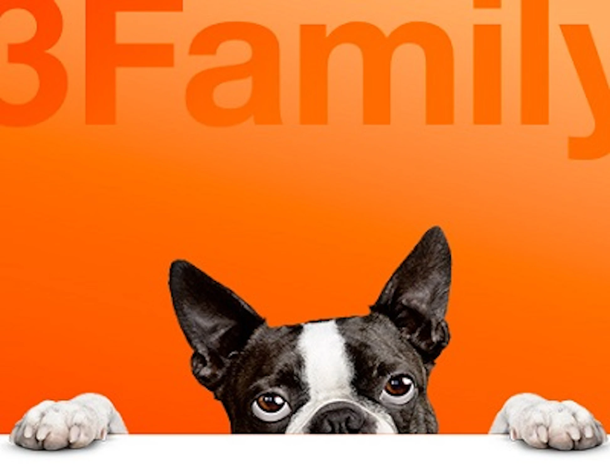 3Family. Saml dine abonnementer og spar penge | 3.dk